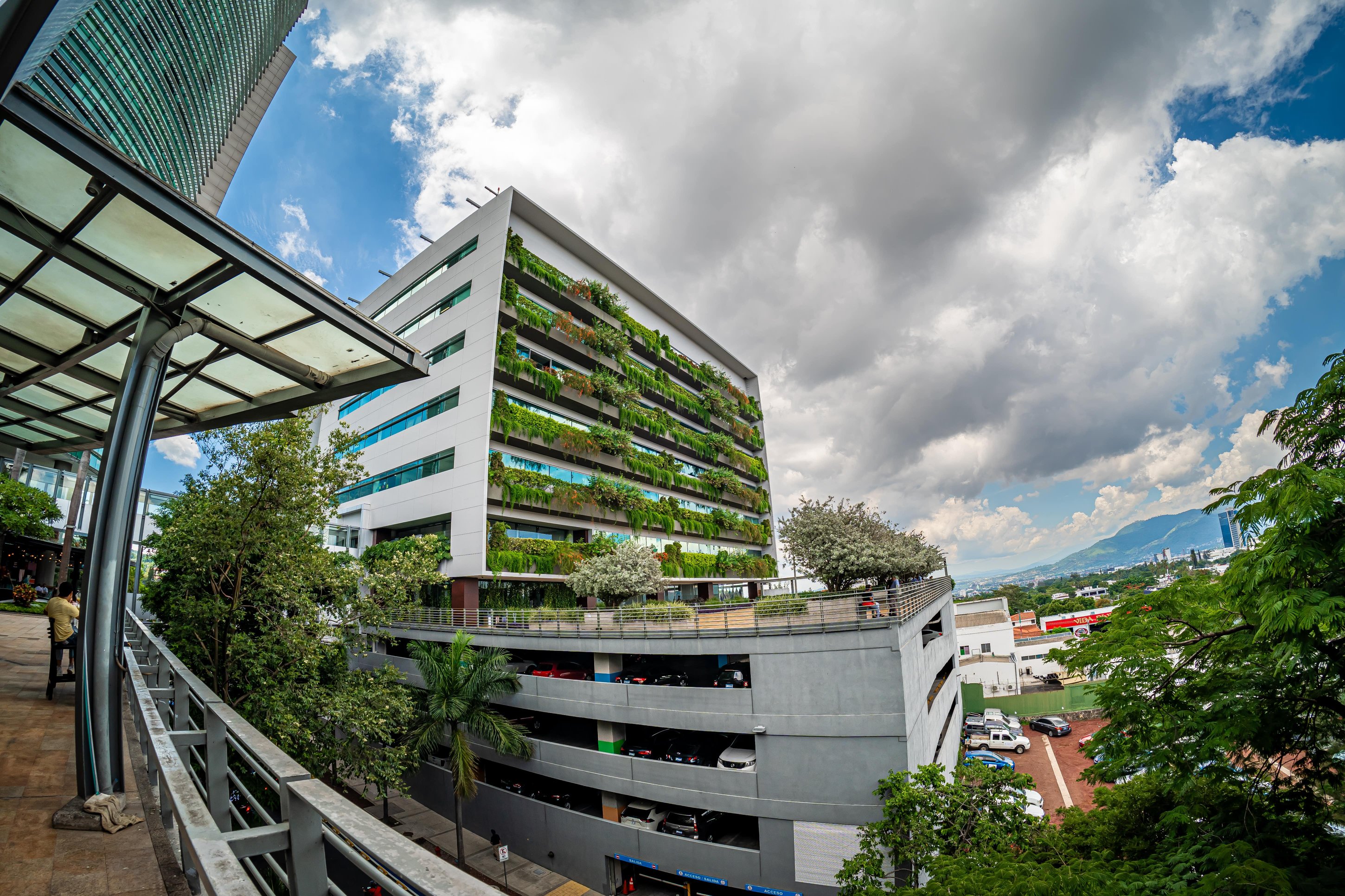 AGRISAL: Un Gigante Empresarial que Impulsa el Futuro de la Región