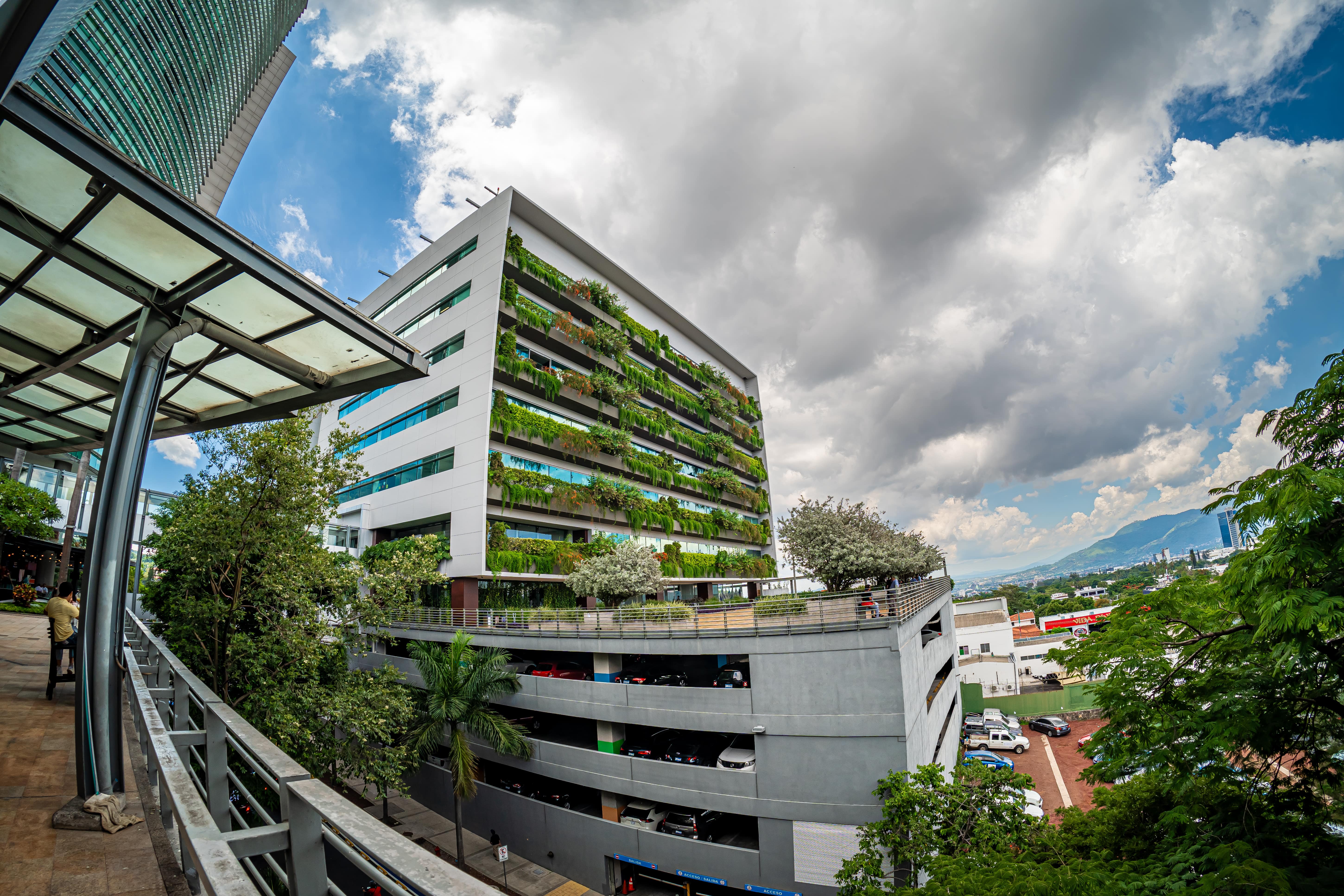 AGRISAL lanza MUJER GENERACIÓN A para el desarrollo integral de sus ...
