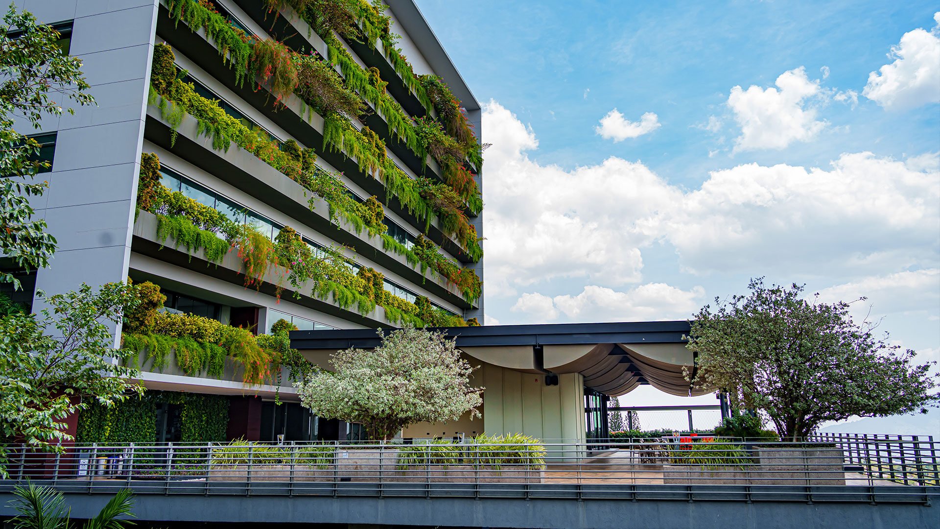 Agrisal: Inversiones que impulsan bienestar, prosperidad y comunidades ...